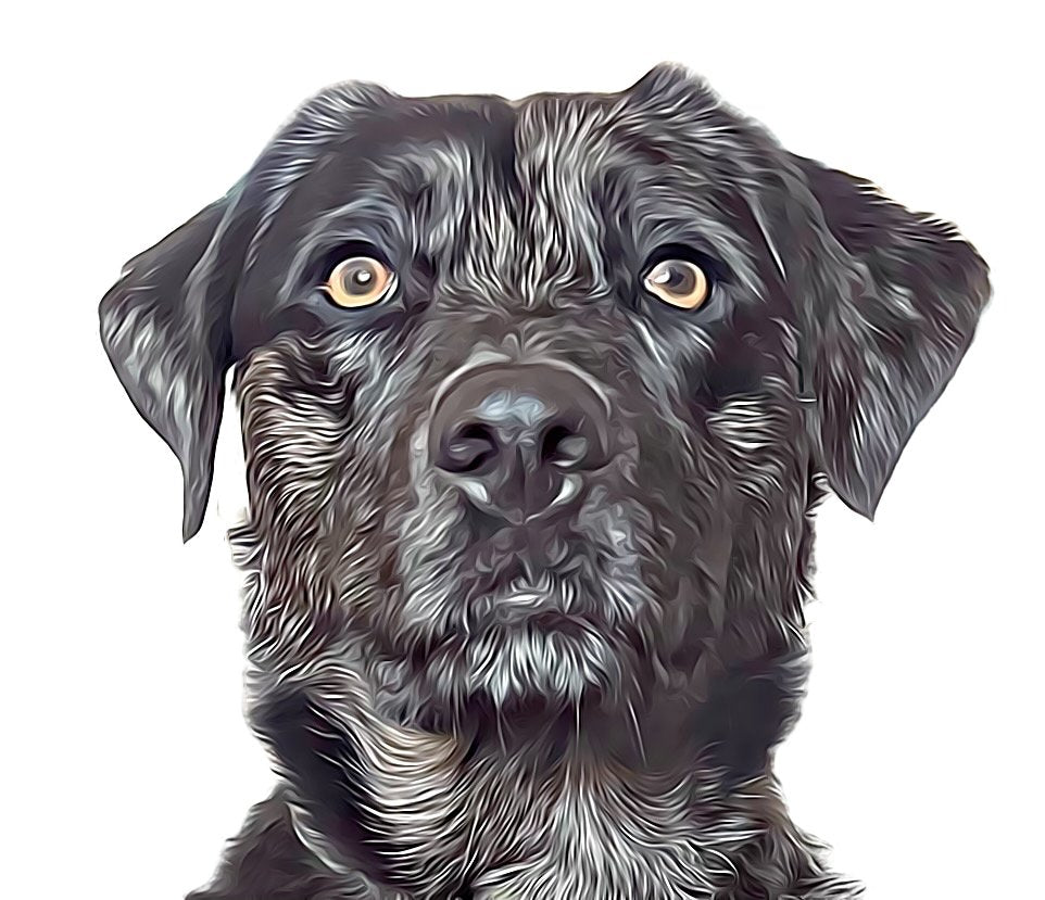 Ted Merch – Mr Hewes Merch